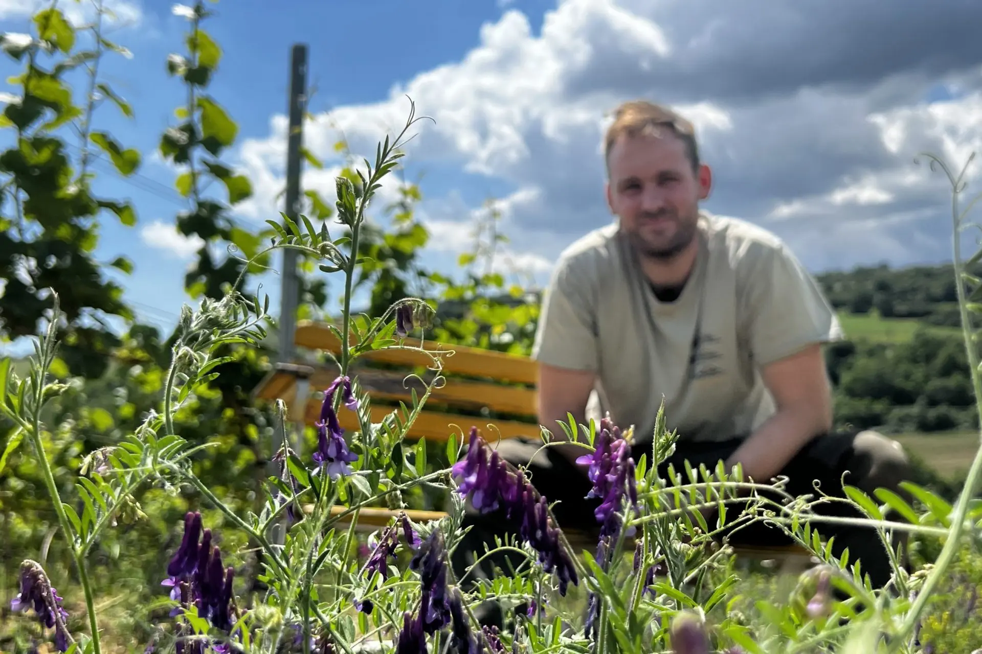 Felix Mayer Weine - Naturbelassene Weine aus der Nordpfalz